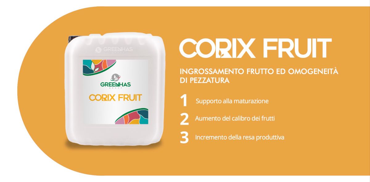 Corix Fruit, calibro e qualità nel noccioleto